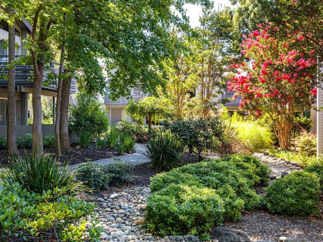 1 BR, 1 BA Apartment 235 Bernardo Ave Unit 1401, Mountain View, CA 94043