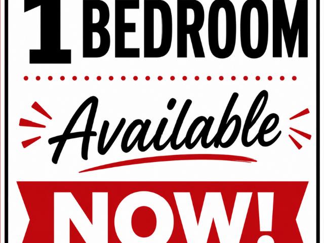 1 BR, 1 BA Apartment 3417 Ave. S, Lubbock, TX 79412