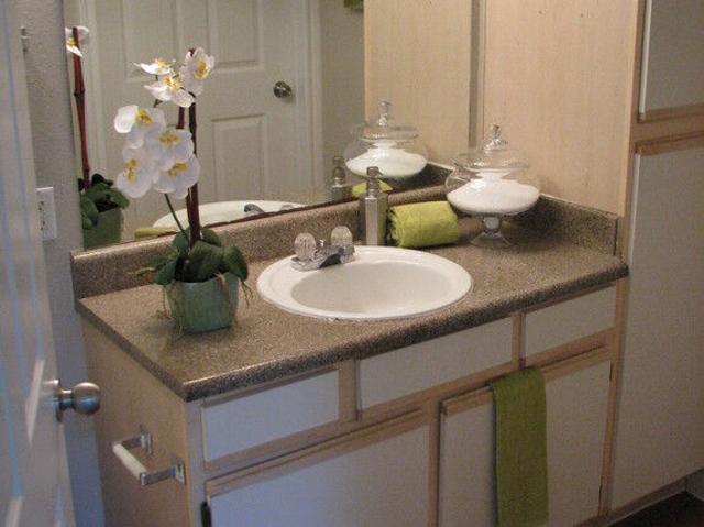 1 BR, 1 BA Apartment 3428 Cove View Blvd Unit 309, Galveston, TX 77554