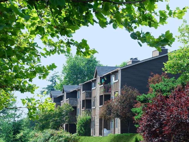 1 BR, 1 BA Apartment 3502 S Mason Ave Unit 3D, Tacoma, WA 98409