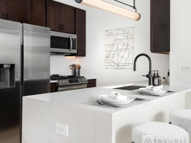 1 BR, 1 BA Apartment 350 N Halsted St, Unit 201, Chicago, IL 60661
