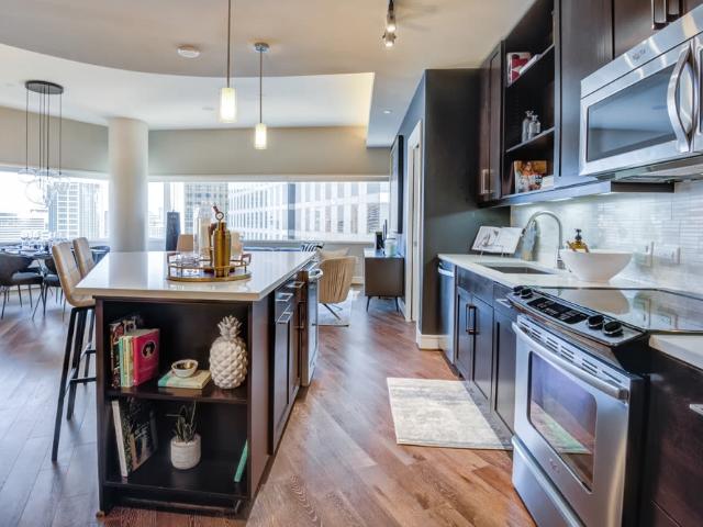 1 BR, 1 BA Apartment 350 North Saint Paul Street Unit 3003, Dallas, TX 75201