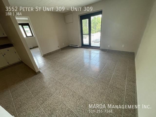 1 BR, 1 BA Apartment 3552 Peter St Unit 309, Windsor, ON N9C 1J5