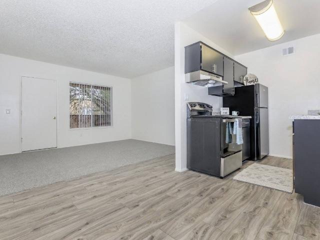 1 BR, 1 BA Apartment 3700 N Campbell Ave Unit 1301, Tucson, AZ 85719