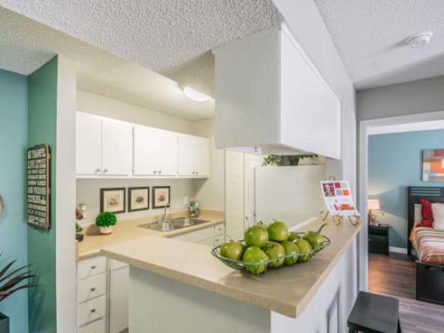 1 BR, 1 BA Apartment 3701 Fountain Mist Dr, Tampa, FL 33614