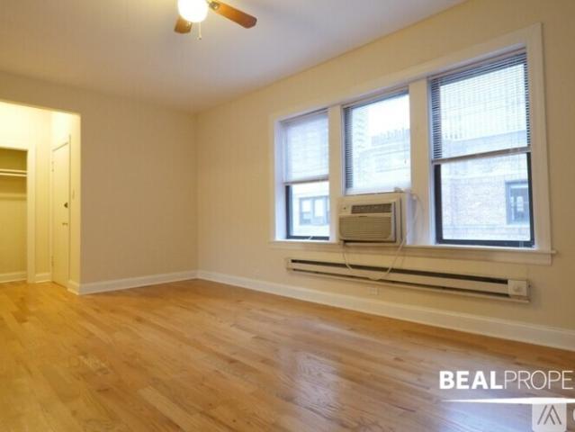 1 BR, 1 BA Apartment 3724 N Pine Grove Ave, Unit 3726 W3, Chicago, IL 60613