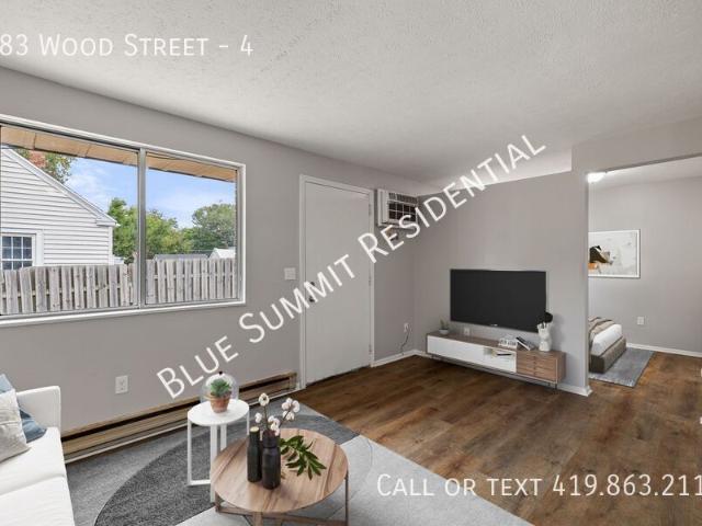 1 BR, 1 BA Apartment 383 Wood Street, Mansfield, OH 44903