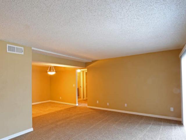 1 BR, 1 BA Apartment 3807 Tower Rd, Tampa, FL 33614