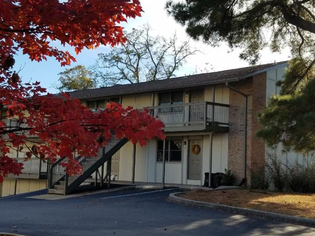 1 BR, 1 BA Apartment 3815 6th Avenue South Unit Apt.17, Birmingham, AL 35222