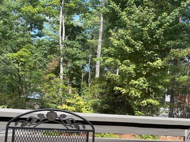 1 BR, 1 BA Apartment 384 Bear Cub Drive, Spruce Pine, NC 28777