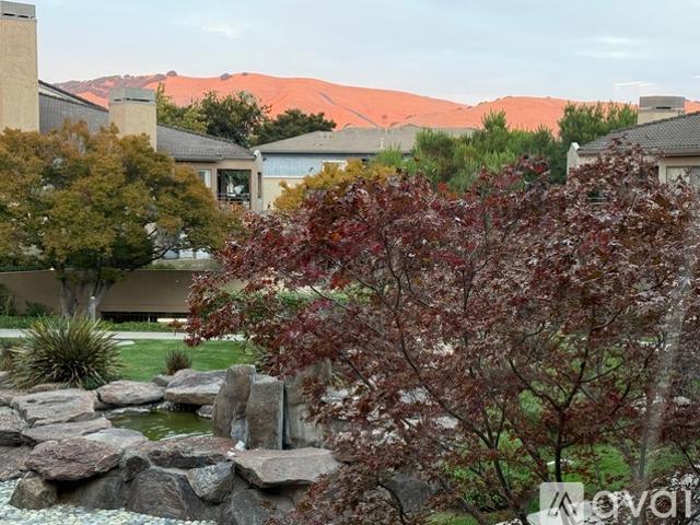 1 BR, 1 BA Apartment 39206 Guardino Drive, Unit 208, Fremont, CA 94538