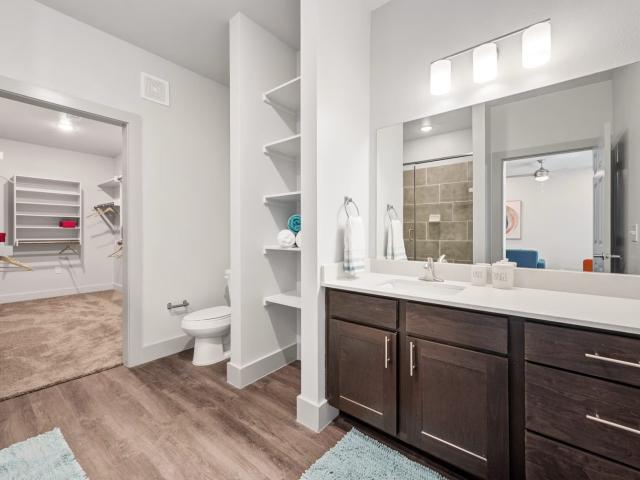 1 BR, 1 BA Apartment 3951 Dechman Dr Unit 1145, Grand Prairie, TX 75052