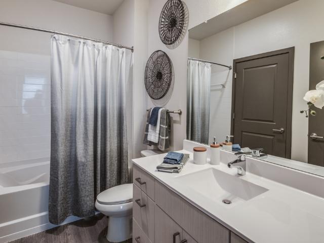 1 BR, 1 BA Apartment 3970 Vitruvian Way, Addison, TX 75001
