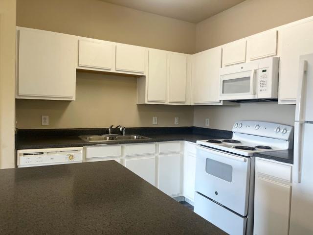 1 BR, 1 BA Apartment 300 Labor Street Unit 1202, San Antonio, TX 78210