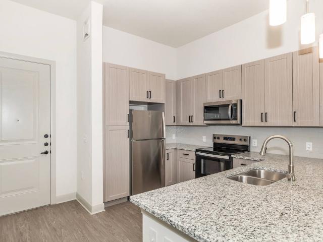 1 BR, 1 BA Apartment 301 South Corinth Street Road Unit 2207, Dallas, TX 75203