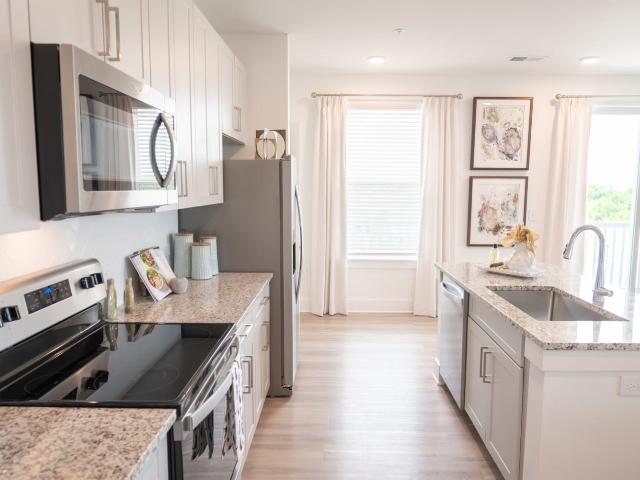 1 BR, 1 BA Apartment 3025 Woodward Crossing Boulevard Unit 1117, Buford, GA 30519