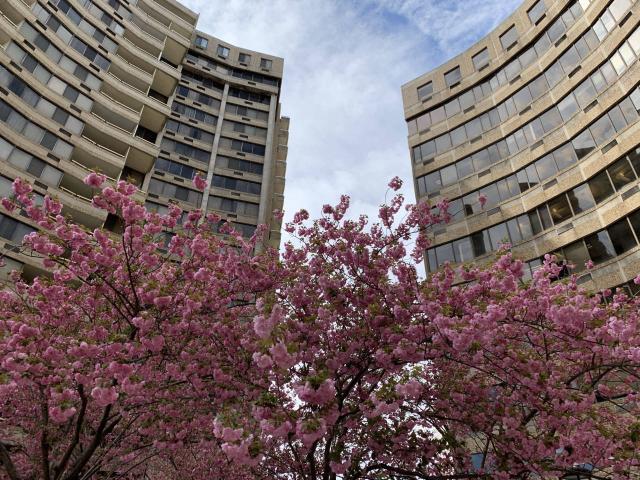 1 BR, 1 BA Apartment 302 E Joppa Rd Unit 0909, Towson, MD 21286