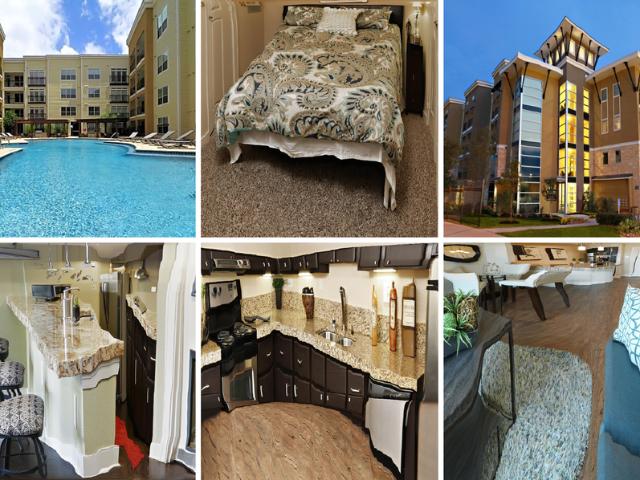 1 BR, 1 BA Apartment 304 E Oltorf St, South Austin / Travis Heights, TX 78704