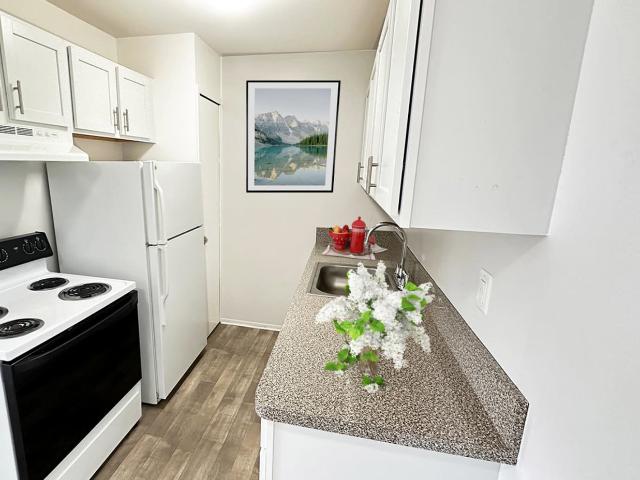 1 BR, 1 BA Apartment 30791 Jeffrey Court Unit 03 202, New Hudson, MI 48165
