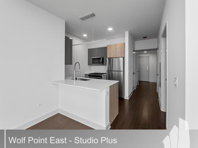 1 BR, 1 BA Apartment 313 West Wolf Point Plaza, Chicago, IL 60654