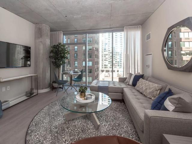 1 BR, 1 BA Apartment 311 West Illinois St, Chicago, IL 60654