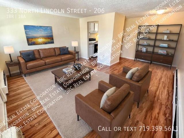 1 BR, 1 BA Apartment 333 North Lincoln Street, Denver, CO 80203