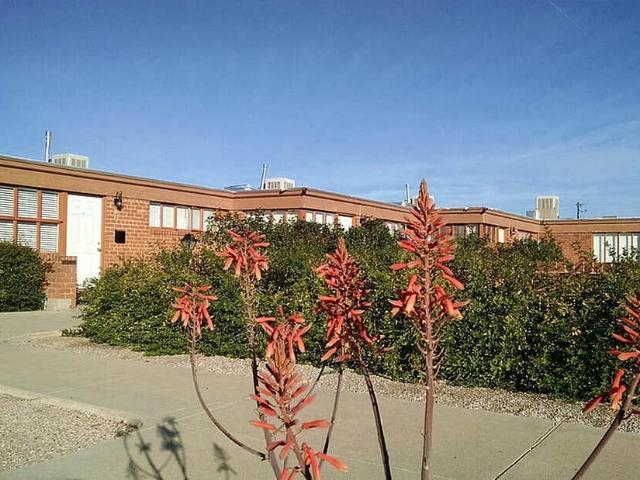 1 BR, 1 BA Apartment 3301 East 2nd Street Unit 9, Tucson, AZ 85716