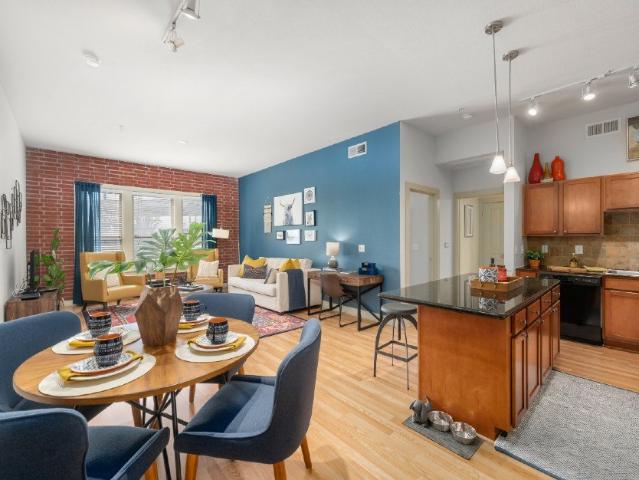 1 BR, 1 BA Apartment 3363 McCue Road Unit 315, Houston, TX 77056