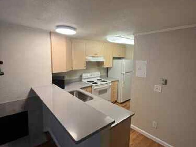 1 BR, 1 BA Apartment 336 North Grant Street, Unit 203, Denver, CO 80203