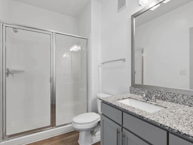 1 BR, 1 BA Apartment 4416 Holly Springs Parkway Unit 12100, Canton, GA 30115