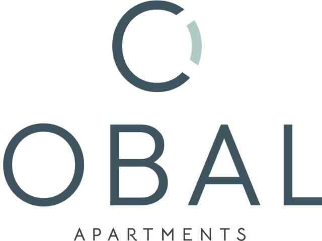 1 BR, 1 BA Apartment 4434 Cobalt Brook Blvd Unit 1107, Lutz, FL 33559