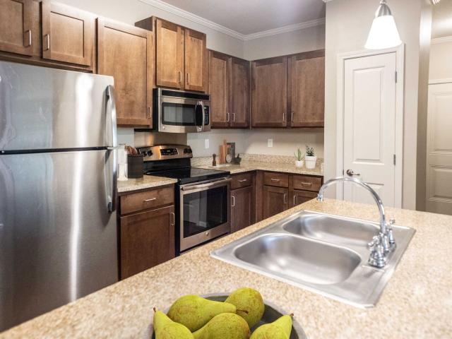1 BR, 1 BA Apartment 444 Island Dr Unit 6 310, Memphis, TN 38103