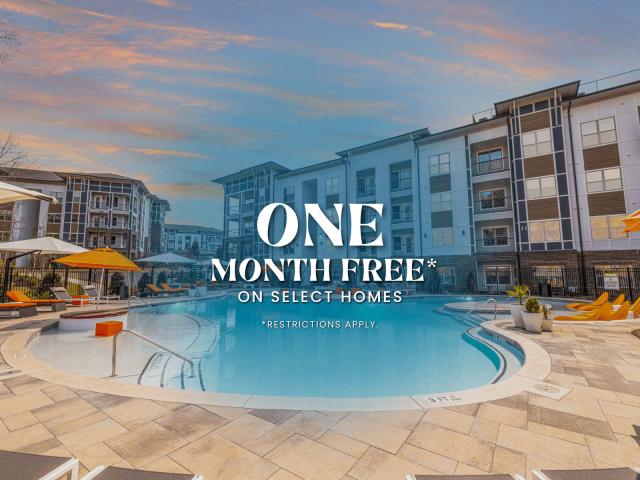 1 BR, 1 BA Apartment 4501 Holly Springs Parkway Unit 1113, Canton, GA 30115