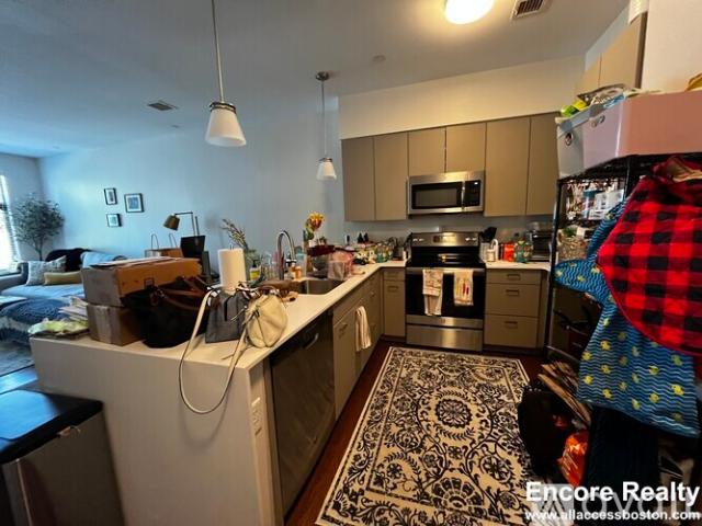 1 BR, 1 BA Apartment 455 Harvard St, Unit 204, Brookline, MA 02446