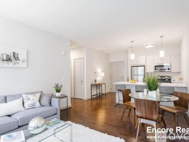 1 BR, 1 BA Apartment 45 Marion St, Unit 206, Brookline, MA 02446