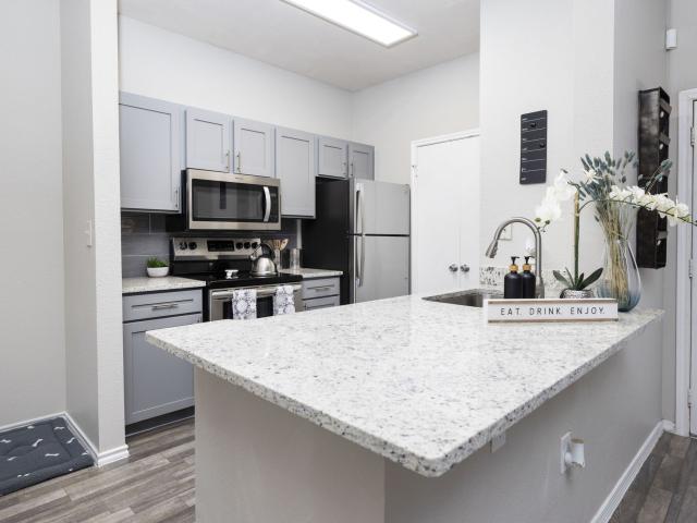 1 BR, 1 BA Apartment 4601 De Zavala Road Unit 0317, San Antonio, TX 78249