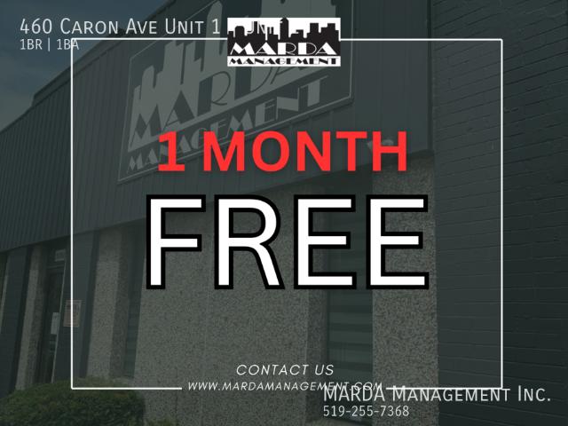 1 BR, 1 BA Apartment 460 Caron Ave Unit 1, Windsor, ON N9A 5B4