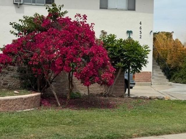 1 BR, 1 BA Apartment 4652 East Mountain View Drive, Unit E, San Diego, CA 92116