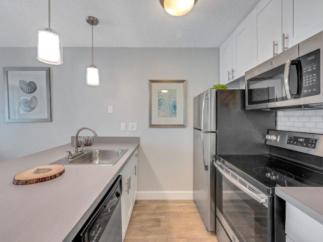 1 BR, 1 BA Apartment 4003 S West Shore Blvd Unit 4111, Tampa, FL 33611