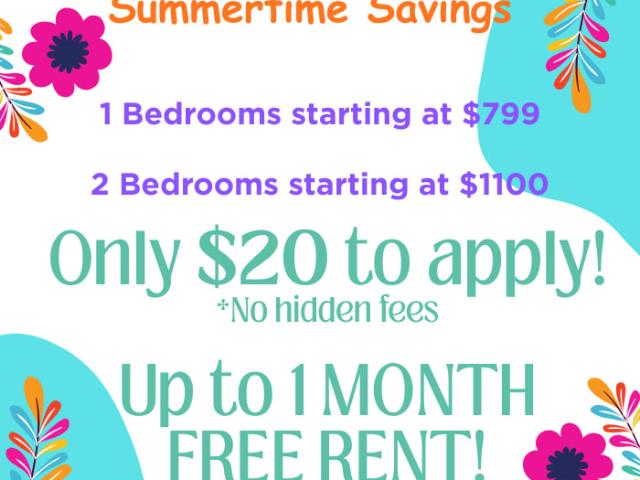 1 BR, 1 BA Apartment 400 Audra Ln Unit 414D, Denton, TX 76209