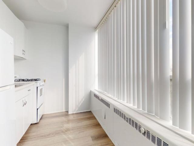 1 BR, 1 BA Apartment 400 East 33rd Street Unit 9 0710, Chicago, IL 60616