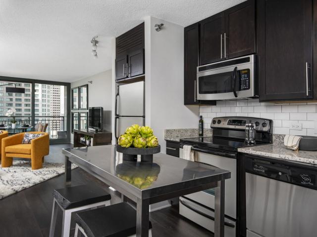 1 BR, 1 BA Apartment 400 North McClurg Court Unit 2501, Chicago, IL 60611