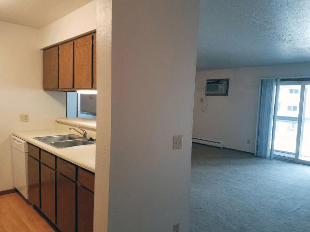 1 BR, 1 BA Apartment 4010 Elm Ave #105 Unit 4022 106, Rapid City, SD 57701