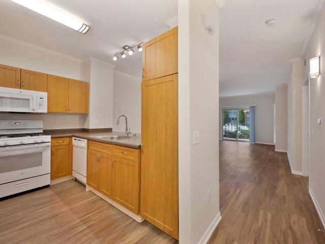 1 BR, 1 BA Apartment 4021 Falcon Street Unit 0203, San Diego, CA 92103