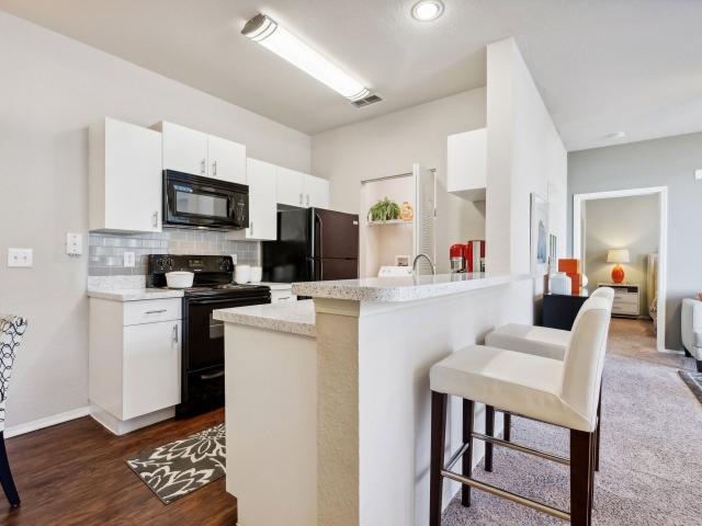 1 BR, 1 BA Apartment 4025 Lake Ned Village Cir Unit 4141, Winter Haven, FL 33884
