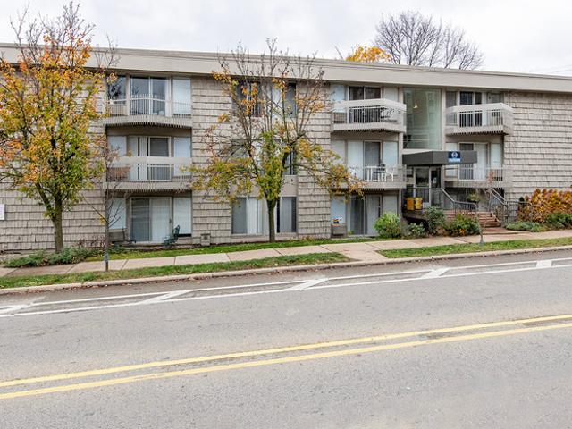1 BR, 1 BA Apartment 406 Packard, Ann Arbor, MI 48104