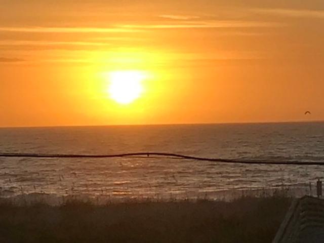 1 BR, 1 BA Apartment 408 Carolina Beach Avenue South, Unit A10, Carolina Beach, NC 28428