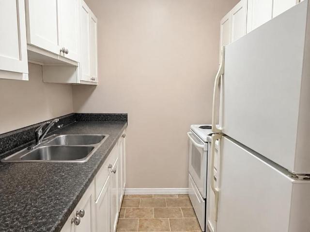 1 BR, 1 BA Apartment 429 Bruce Ave, Windsor, ON N9A 4X1