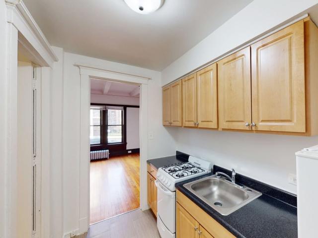 1 BR, 1 BA Apartment 5474 5480 South Hyde Park Boulevard Unit 5474 3A, Chicago, IL 60615