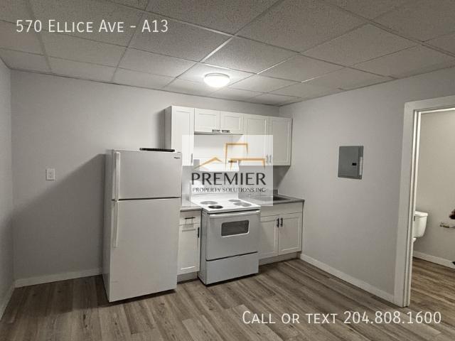 1 BR, 1 BA Apartment 570 Ellice Ave, Winnipeg, MB R3B 1Z8